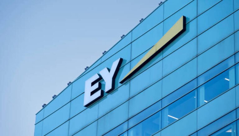 The Ultimate Guide to Big 4 Companies in India: Everything You Need to Know